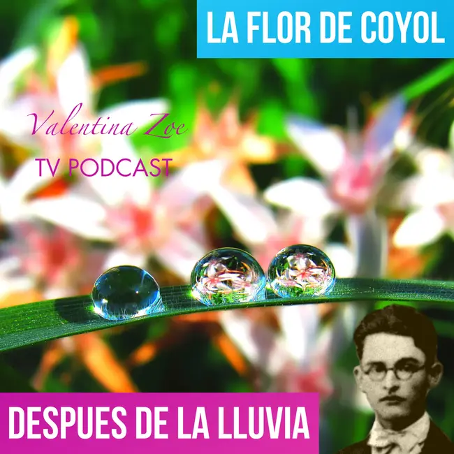 AL ENTREABRIRSE LA FLOR DE COYOL ALFREDO ESPINO🌸 | Despues de la Lluvia ...